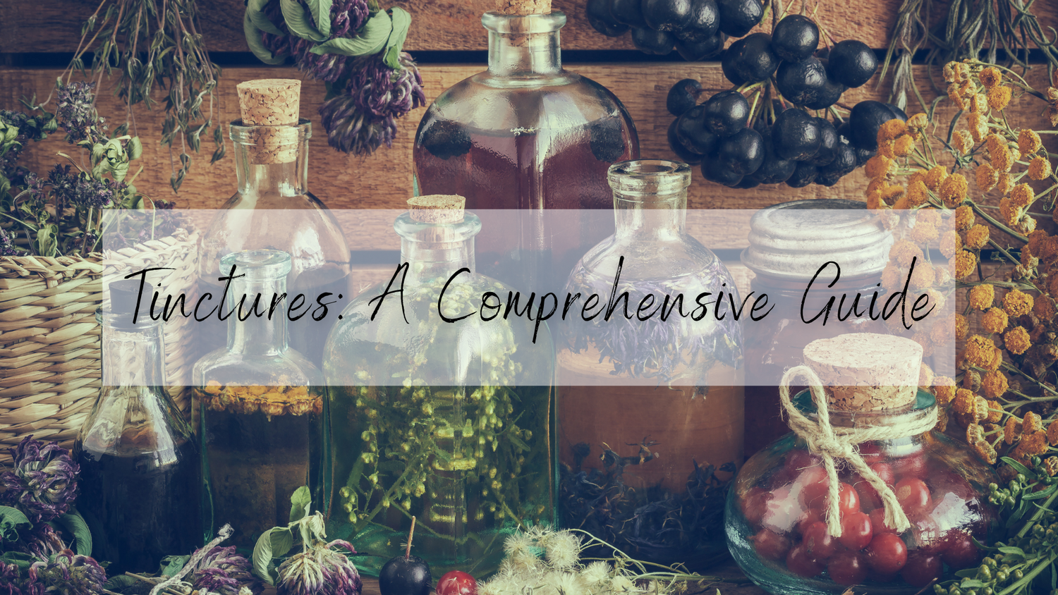 Tinctures: A Comprehensive Guide – Wild Health Apothecary