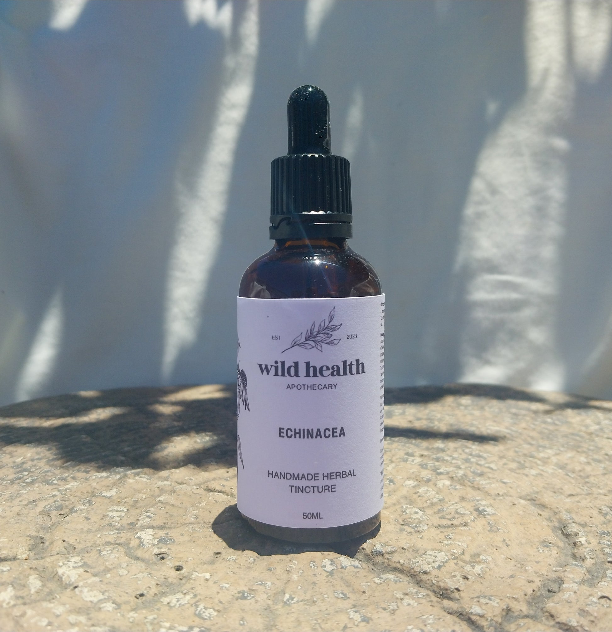 Echinacea Tincture – Wild Health Apothecary
