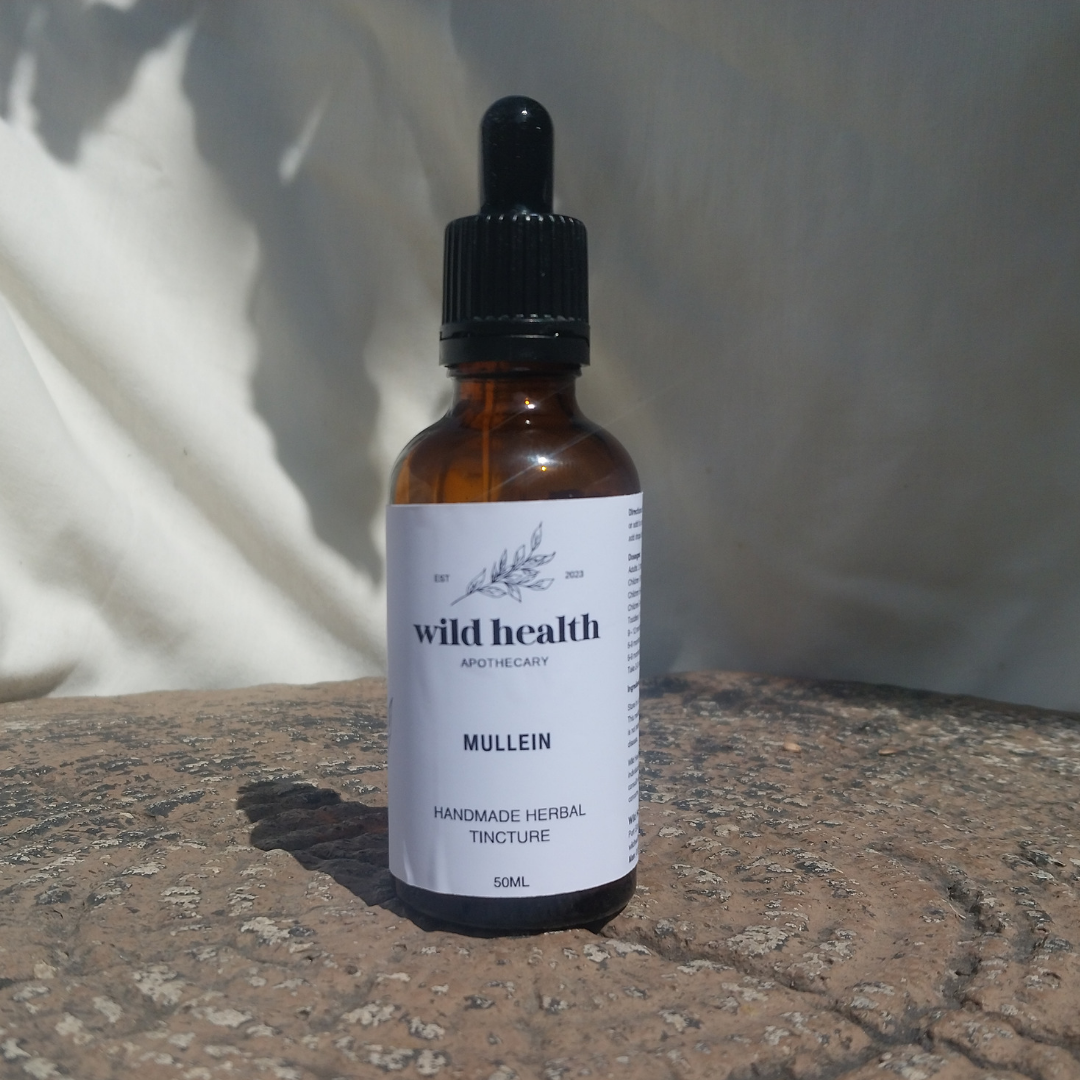 Mullein Tincture – Wild Health Apothecary