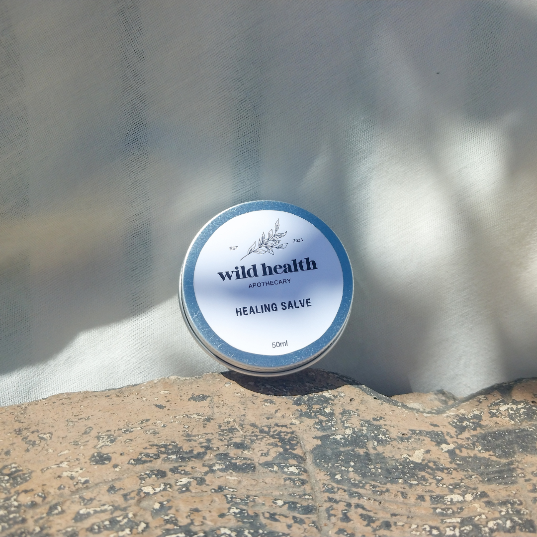 Healing Salve – Wild Health Apothecary